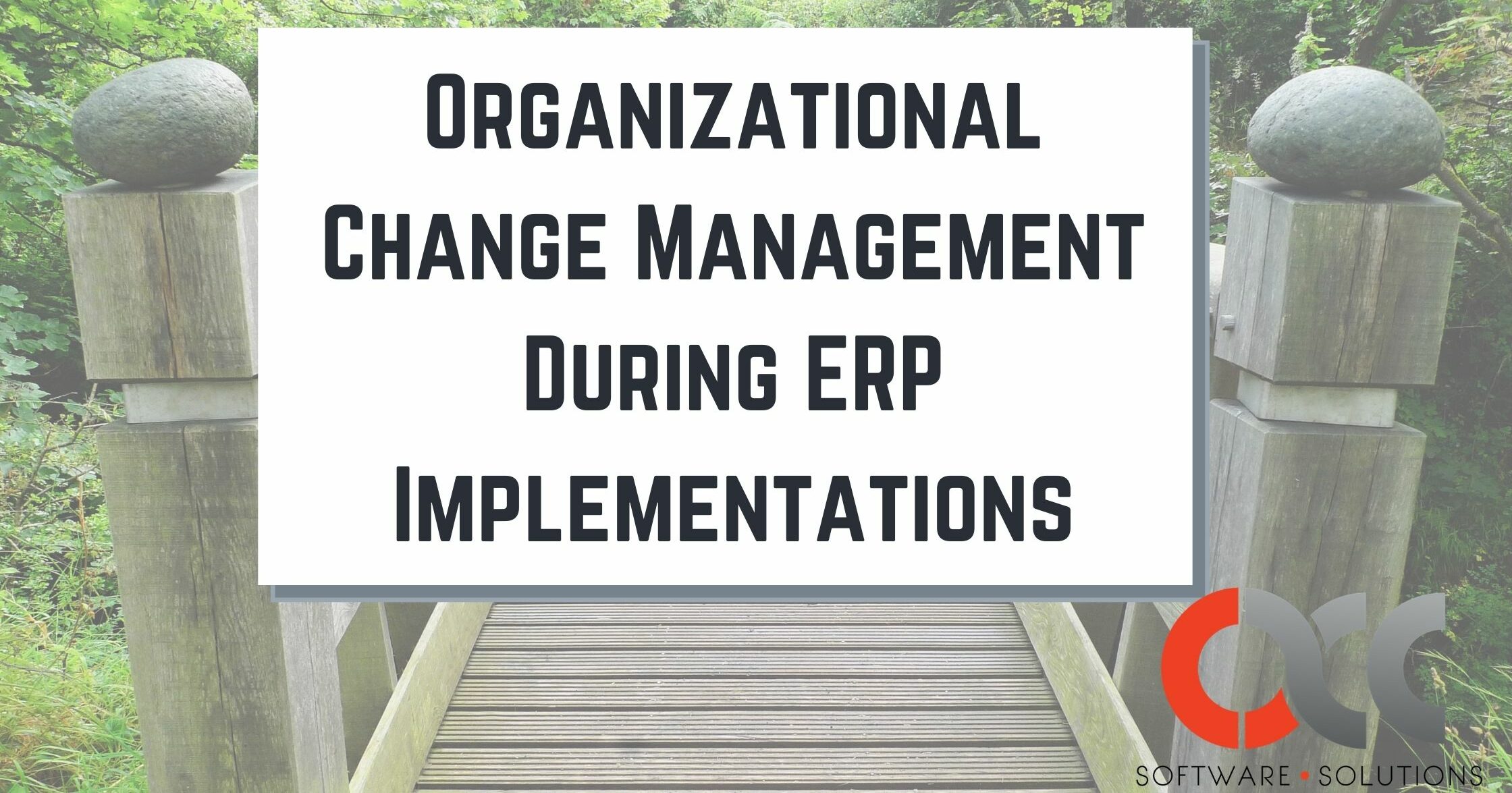 Organizational Change Management | ACC Software Solutions